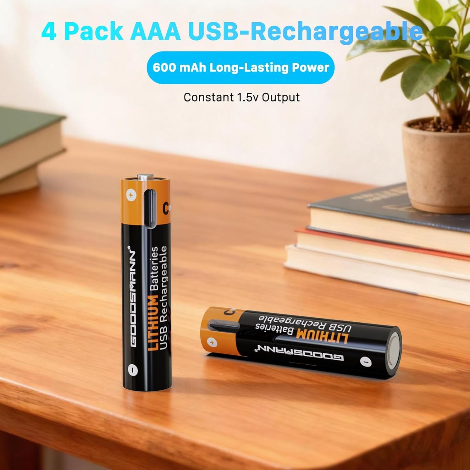 GOODSMANN AAA Rechargeable Lithium-ion Batteries 4-Pack with USB-C 4-S ...